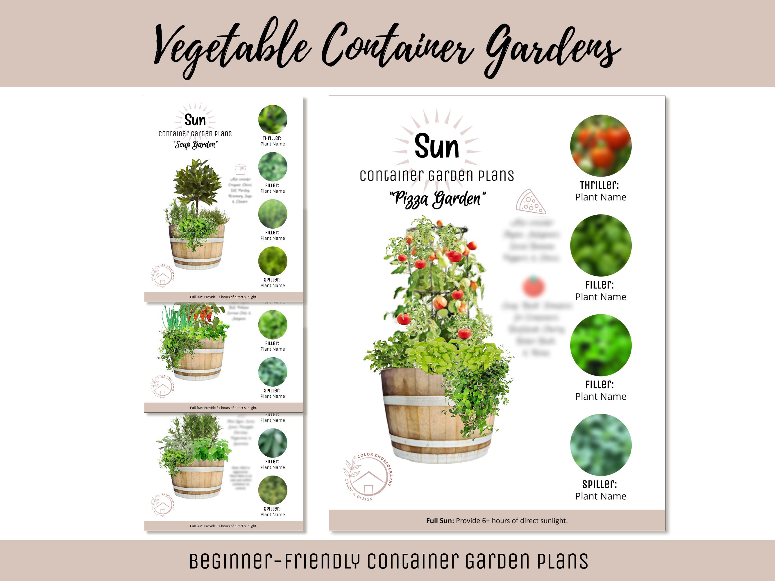 Easy Edible Container Garden Plan Vegetable Herb Garden Design Beginner ...