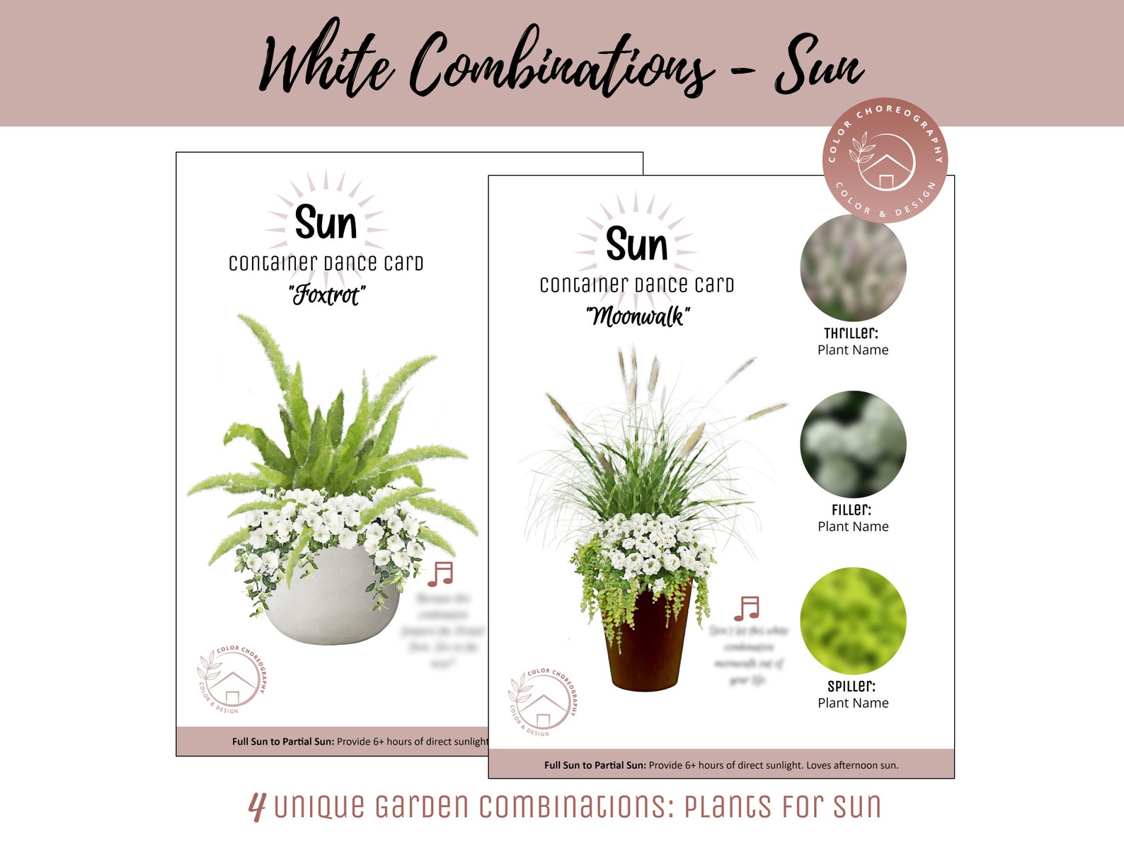 Easy Container Flower Garden Guide Beginner-friendly Potted Flower Plan ...