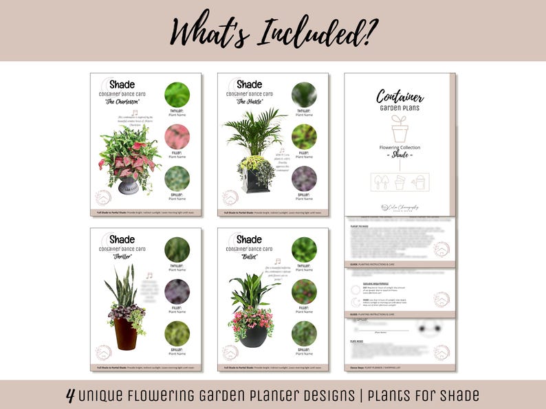 Easy Container Flower Garden Guide Beginner-friendly Potted Flower Plan ...