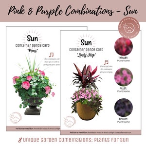 Easy Container Flower Garden Guide Beginner-friendly Potted Flower Plan ...