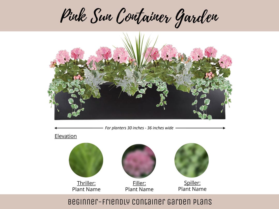 Easy Window Box Flower Garden Guide Beginner-friendly Potted Flower ...