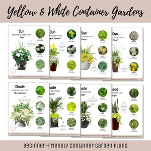 Easy Container Flower Garden Guide Beginner-friendly Potted Flower Plan ...