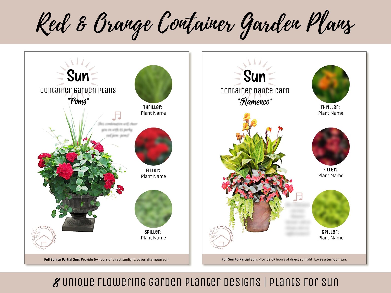 Easy Container Flower Garden Guide Beginner-friendly Potted Flower Plan ...