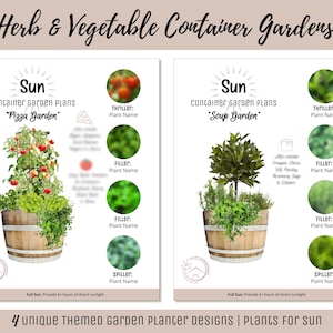 Easy Edible Container Garden Plan Vegetable Herb Garden Design Beginner ...