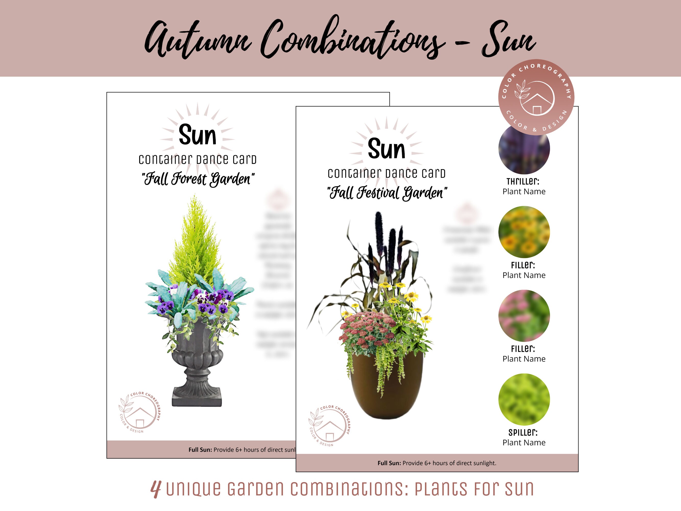 Easy Container Flower Garden Guide Beginner-friendly Potted Flower Plan ...