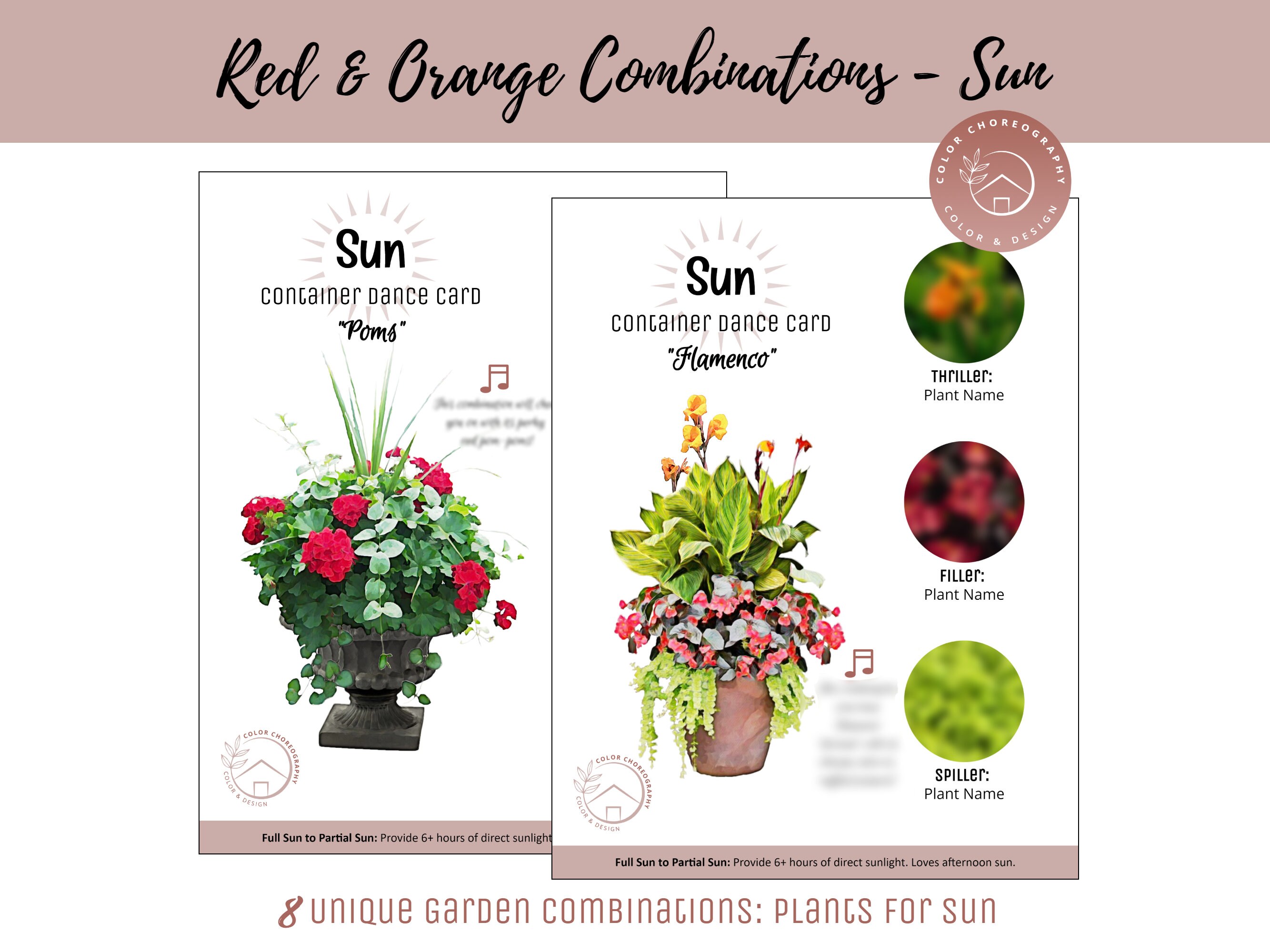 Container Garden Plan, Beginner Garden Guide, How-to Flower Garden ...