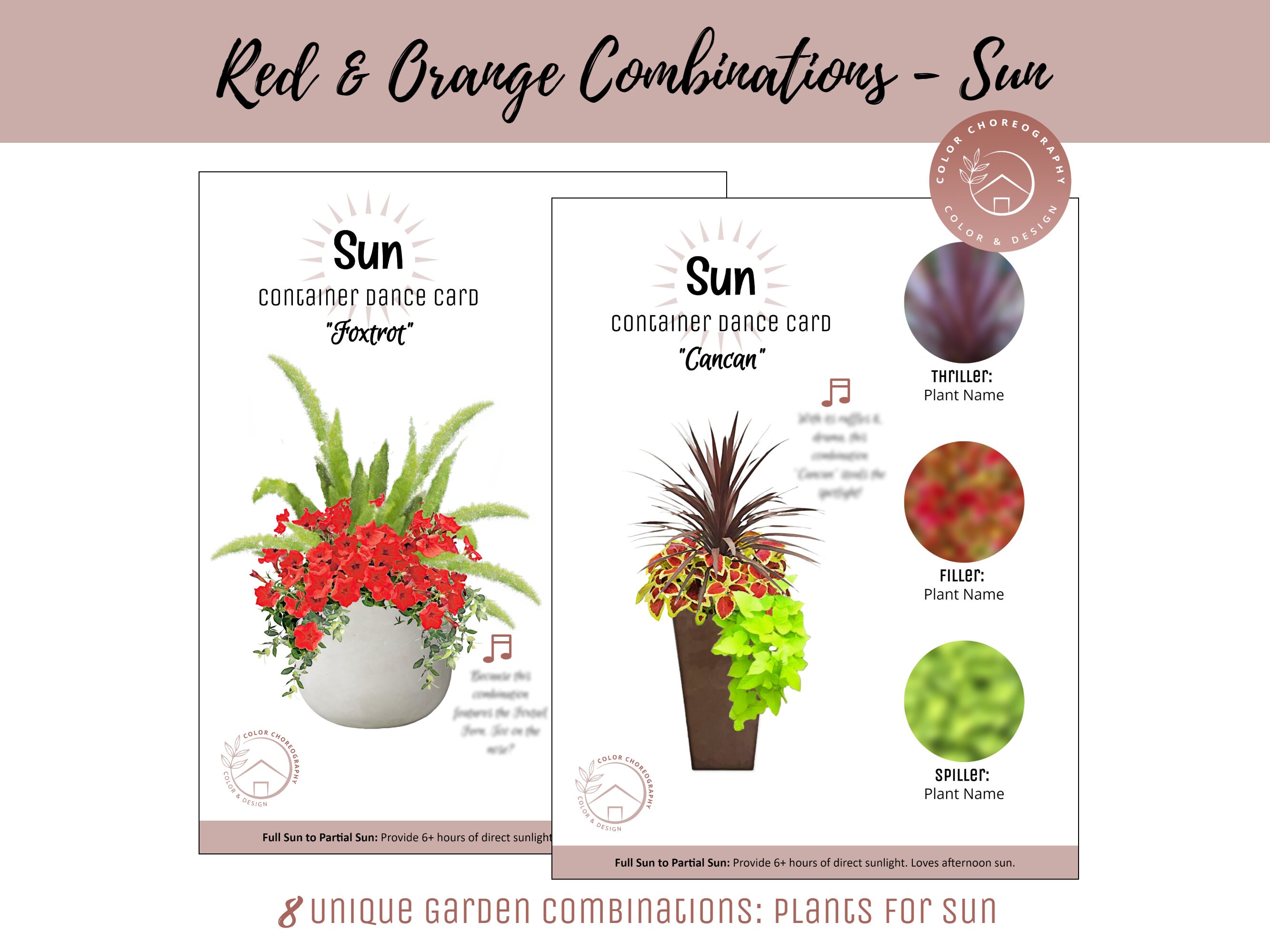 Container Garden Plan, Beginner Garden Guide, How-to Flower Garden ...