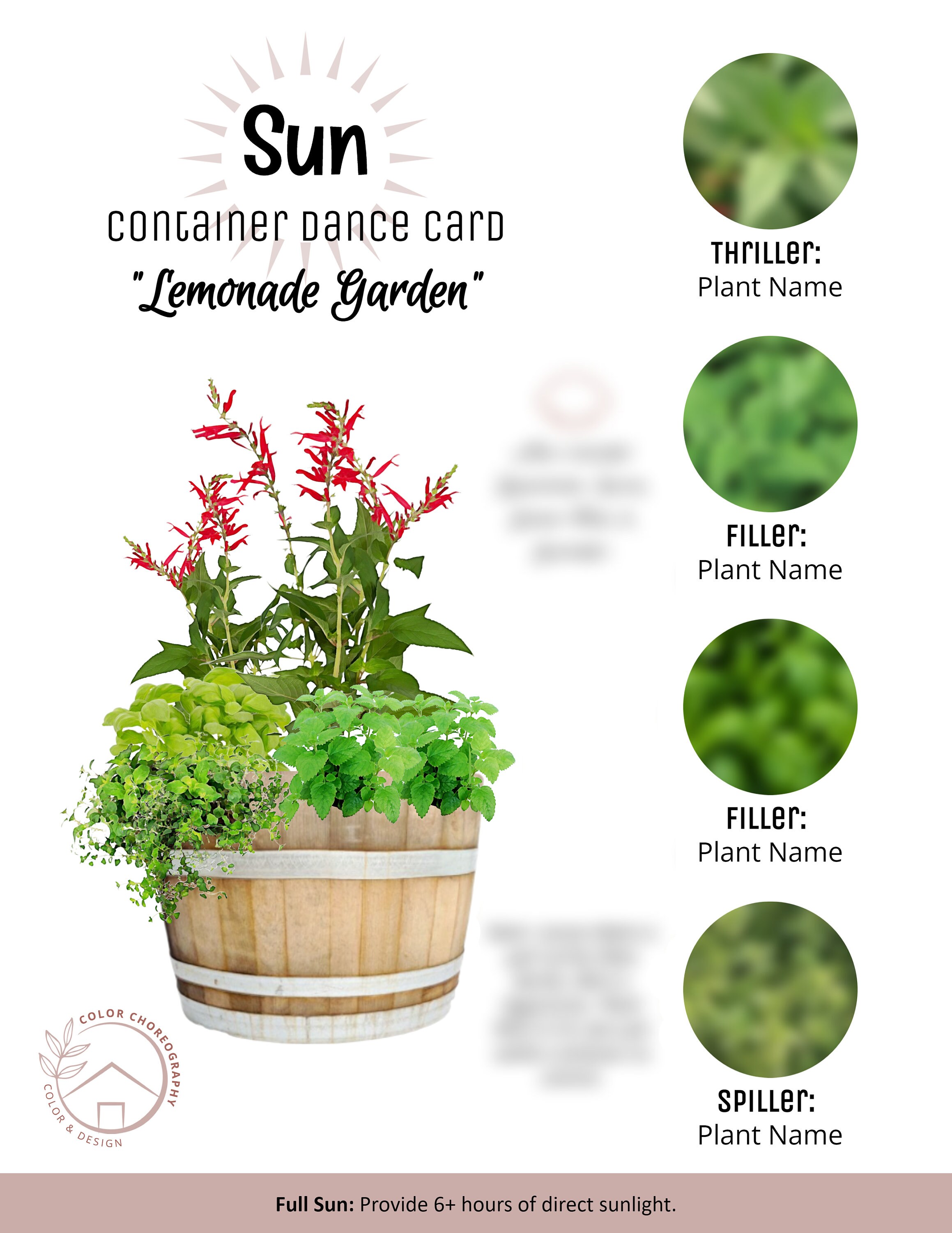 Easy Edible Container Garden Plan Vegetable Herb Garden Design Beginner ...
