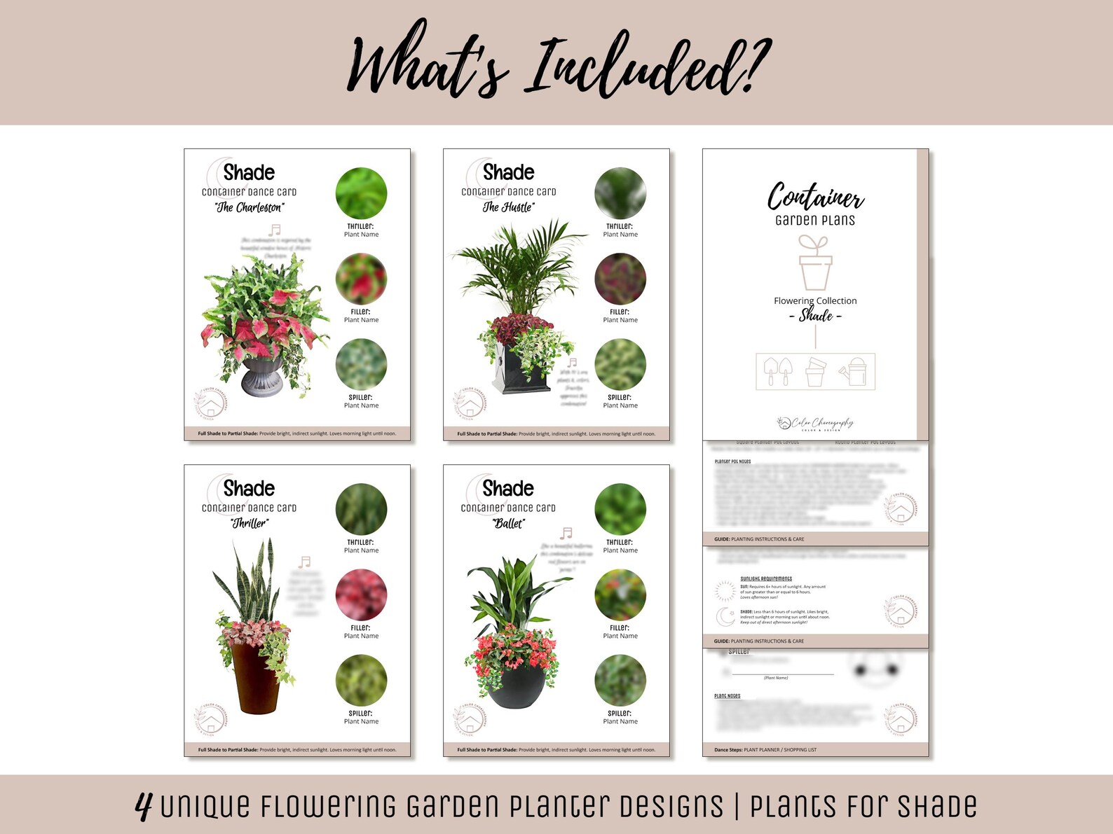 Easy Container Flower Garden Guide Beginner-friendly Potted Flower Plan ...