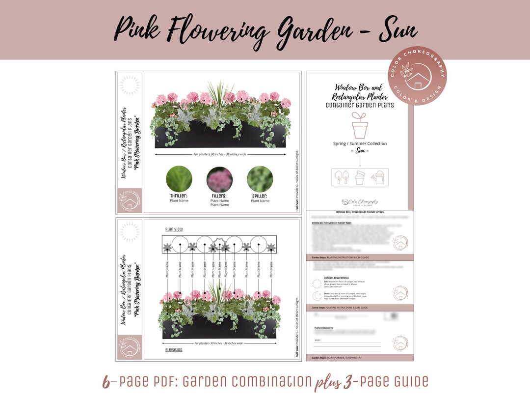 Easy Window Box Flower Garden Guide Beginner-friendly Potted Flower ...