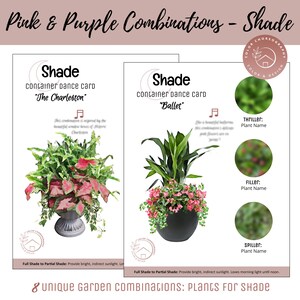 Easy Container Flower Garden Guide Beginner-friendly Potted Flower Plan ...