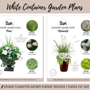 Easy Container Flower Garden Guide Beginner-friendly Potted Flower Plan ...