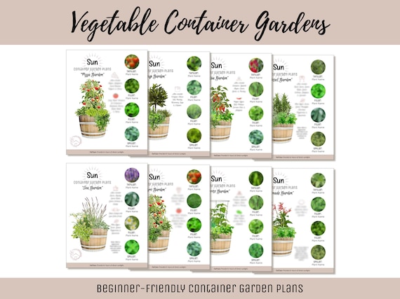 Container Gardening Charts Gardening Types Rectangle Infographic