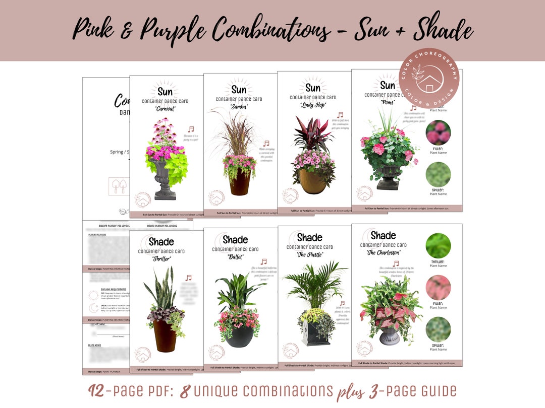 Easy Container Flower Garden Guide Beginner-friendly Potted Flower Plan ...