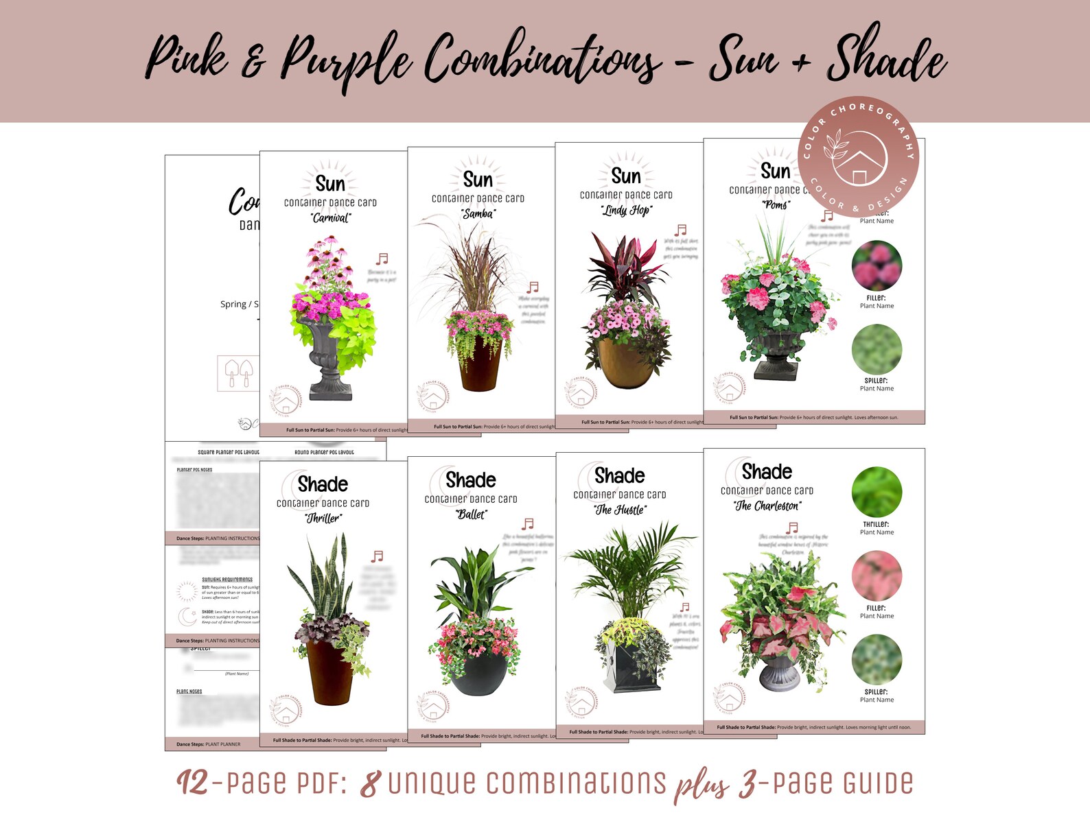 Easy Container Flower Garden Guide Beginner-friendly Potted Flower Plan ...