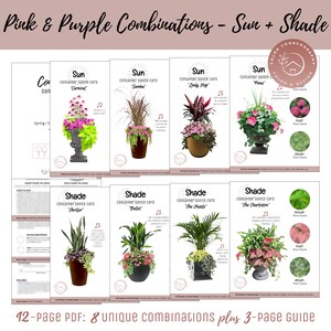 Easy Container Flower Garden Guide Beginner-friendly Potted Flower Plan ...