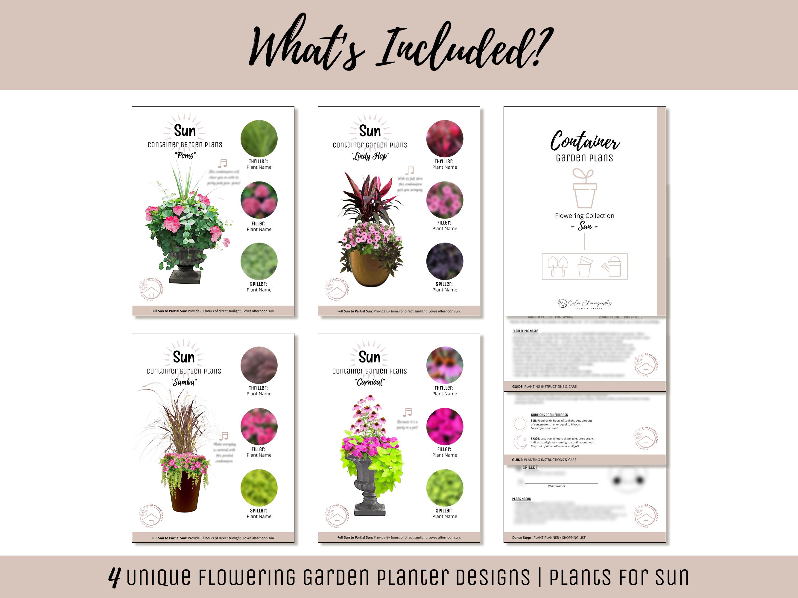 Easy Container Flower Garden Guide Beginner-friendly Potted Flower Plan ...