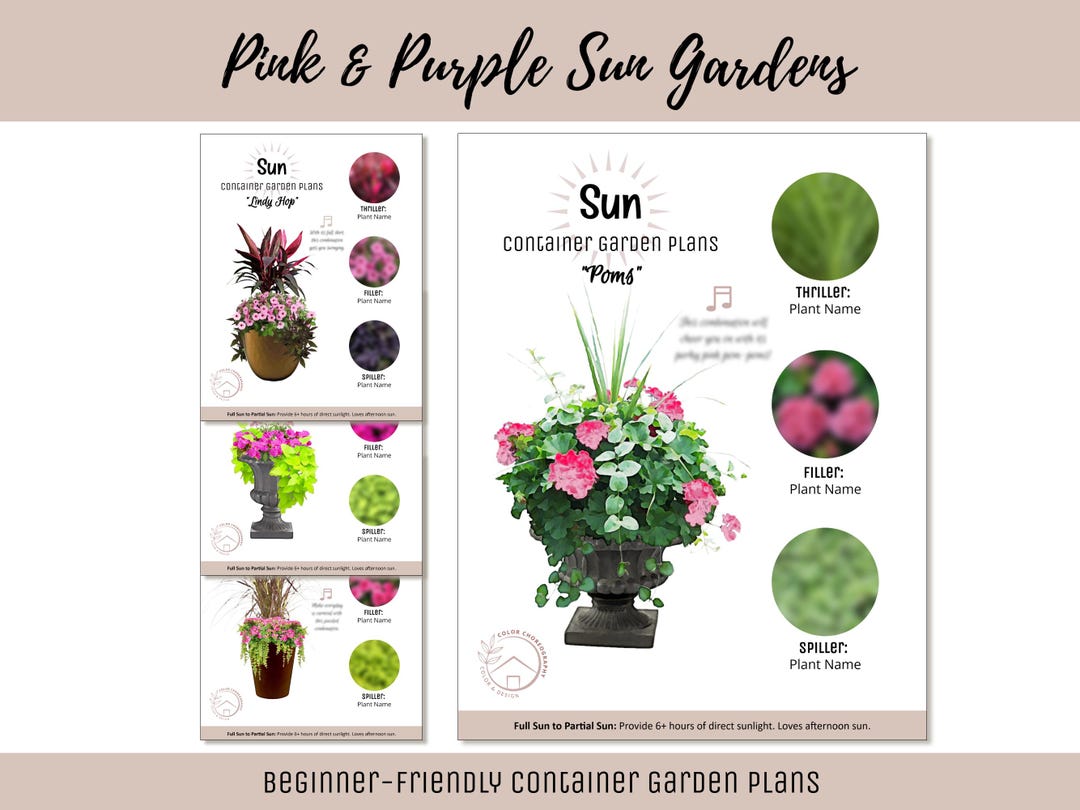 Easy Container Flower Garden Guide Beginner-friendly Potted Flower Plan ...
