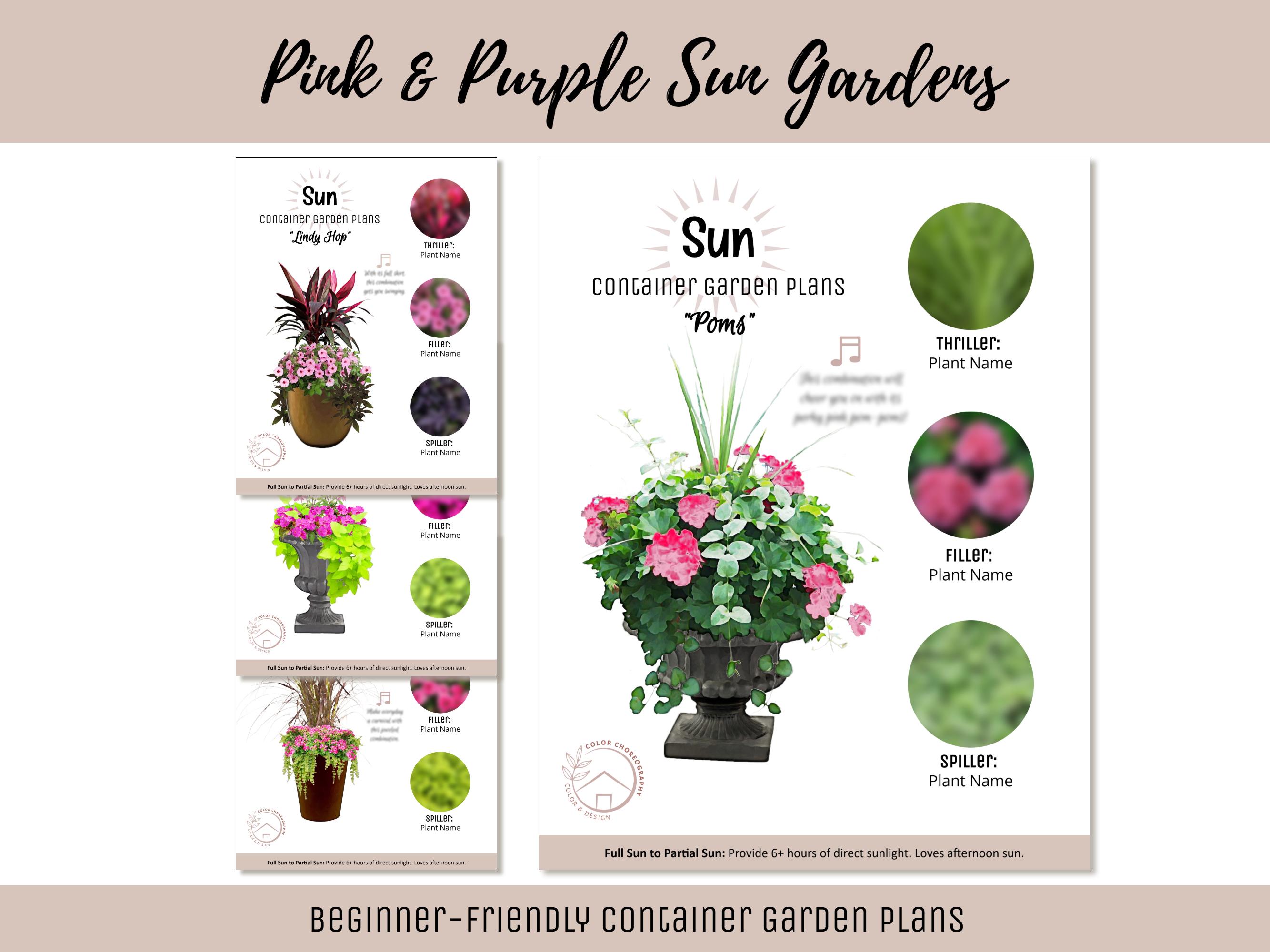 Easy Container Flower Garden Guide Beginner-friendly Potted Flower Plan ...
