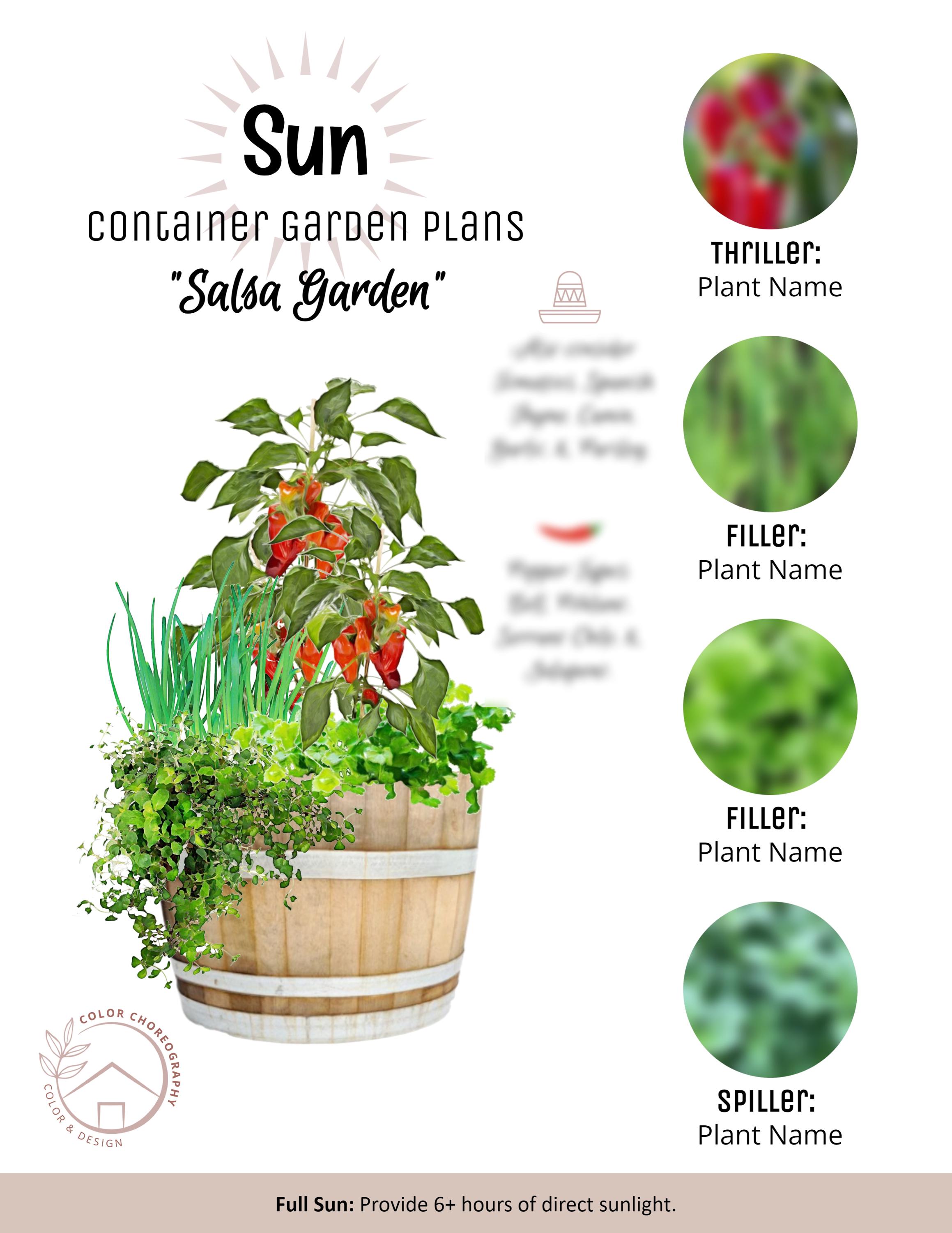 Easy Edible Container Garden Plan Vegetable Herb Garden Design Beginner ...