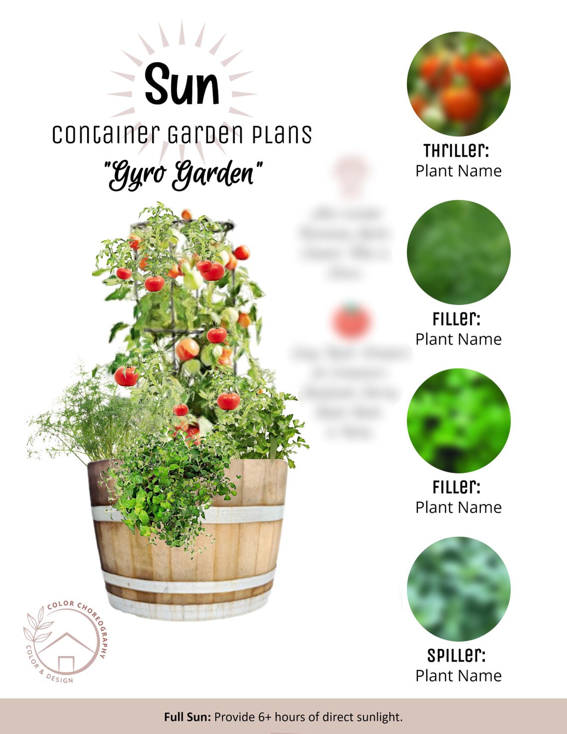 Easy Edible Container Garden Plan Vegetable Herb Garden Design Beginner ...