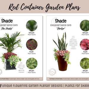 Easy Container Flower Garden Guide Beginner-friendly Potted Flower Plan ...