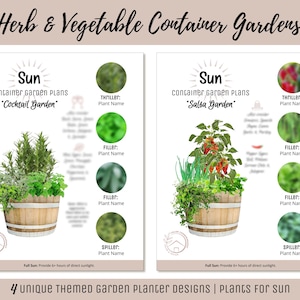 Easy Edible Container Garden Plan Vegetable Herb Garden Design Beginner ...