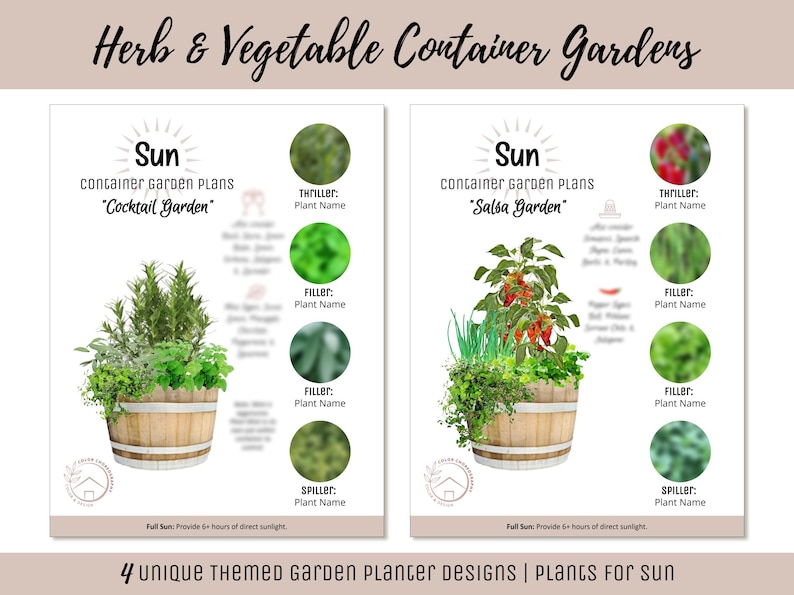 Easy Edible Container Garden Plan Vegetable Herb Garden Design Beginner ...