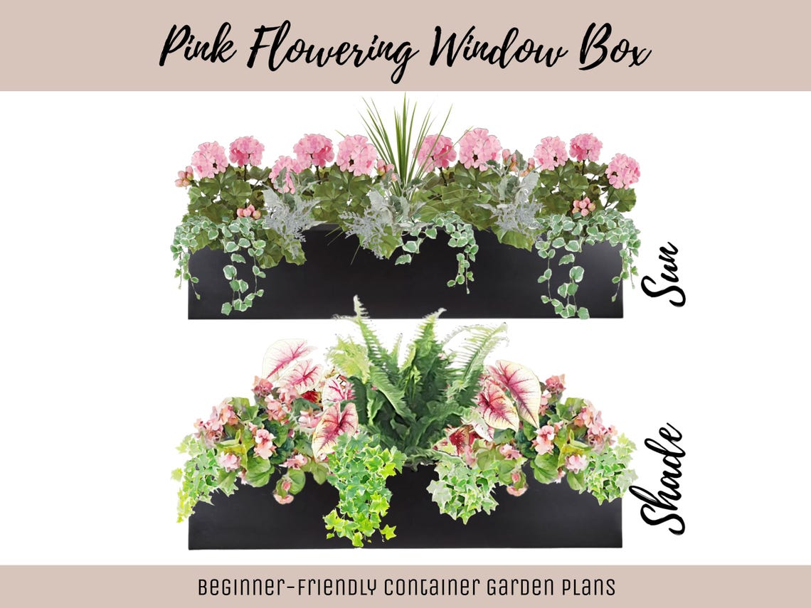 Easy Window Box Flower Garden Guide Beginner-friendly Flower Plan How-to Garden Container Layout ...