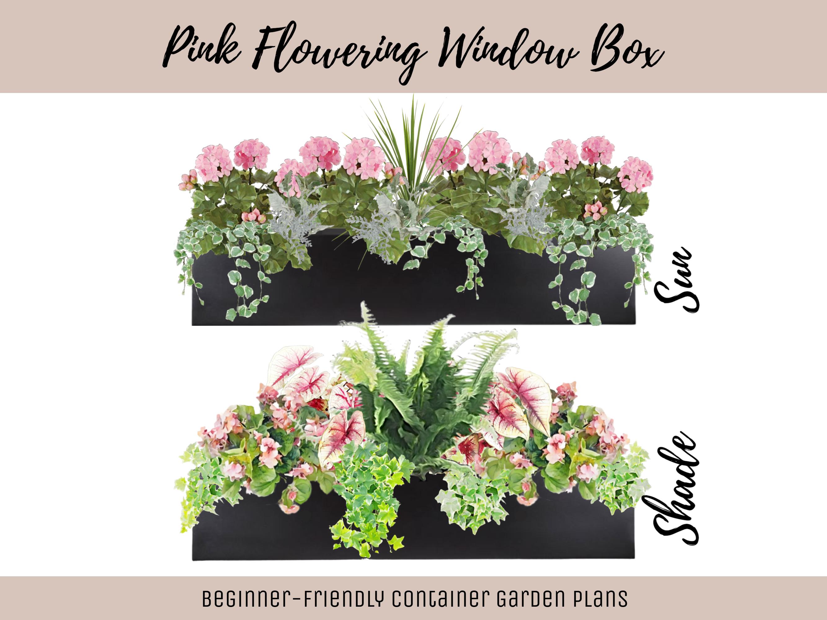 Easy Window Box Flower Garden Guide Beginner-friendly Flower Plan How ...
