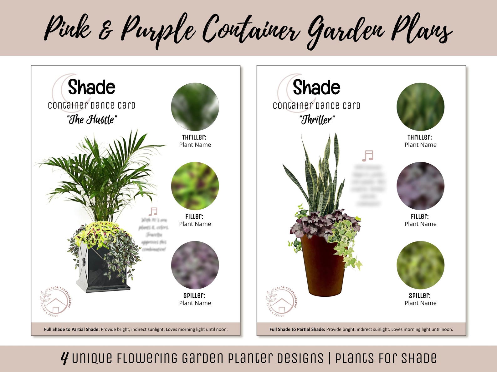 Easy Container Flower Garden Guide Beginner-friendly Potted Flower Plan ...