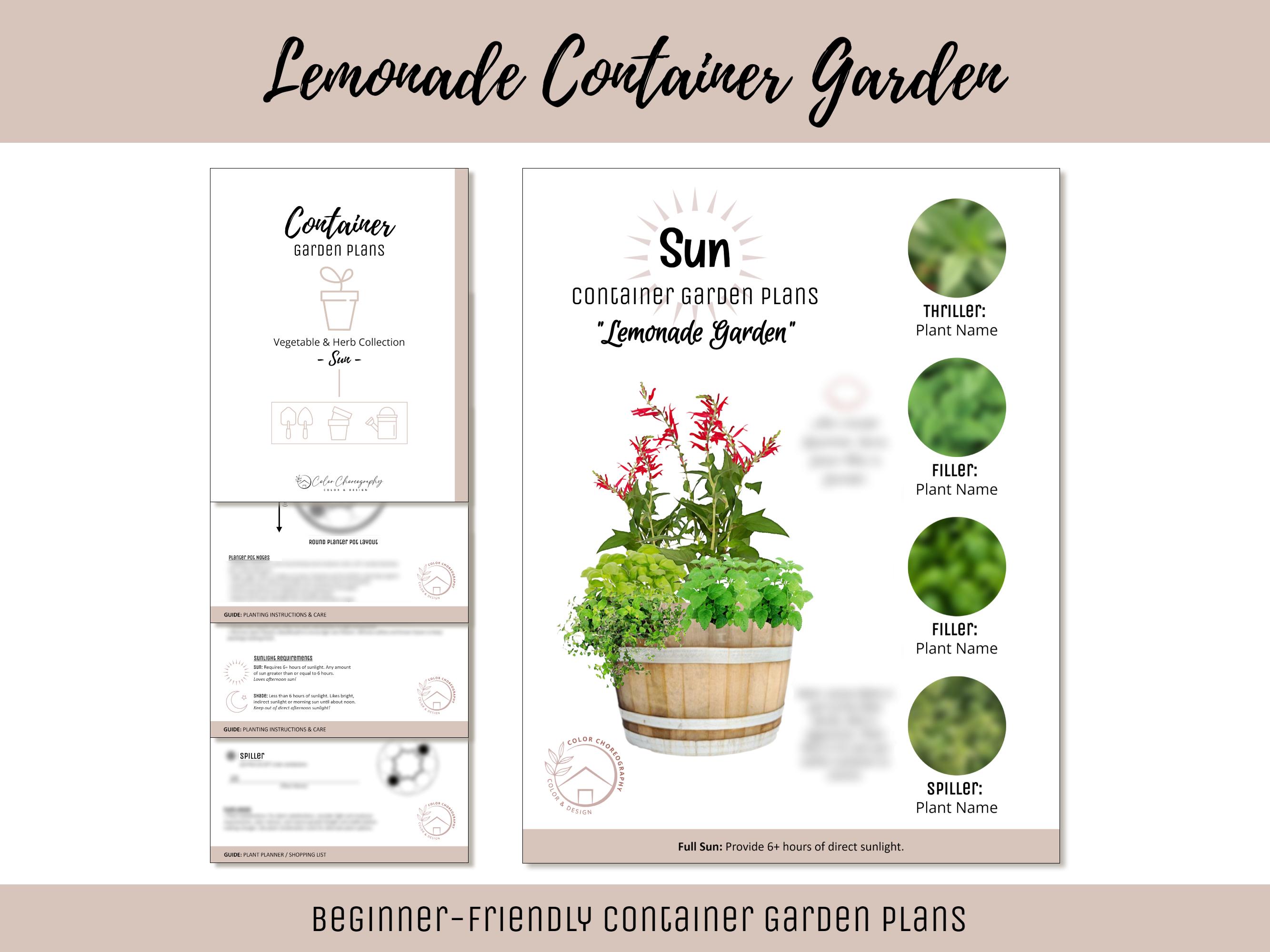 Easy Edible Container Garden Plan Vegetable Herb Garden Design Beginner ...