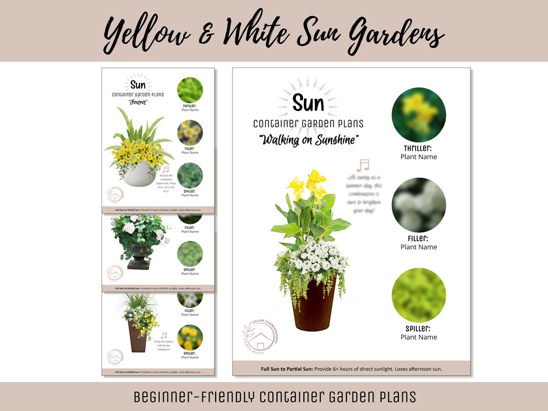 Easy Container Flower Garden Guide Beginner-friendly Potted Flower Plan ...