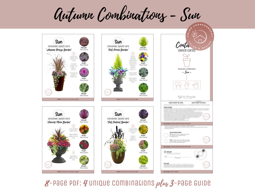 Easy Container Flower Garden Guide Beginner-friendly Potted Flower Plan ...