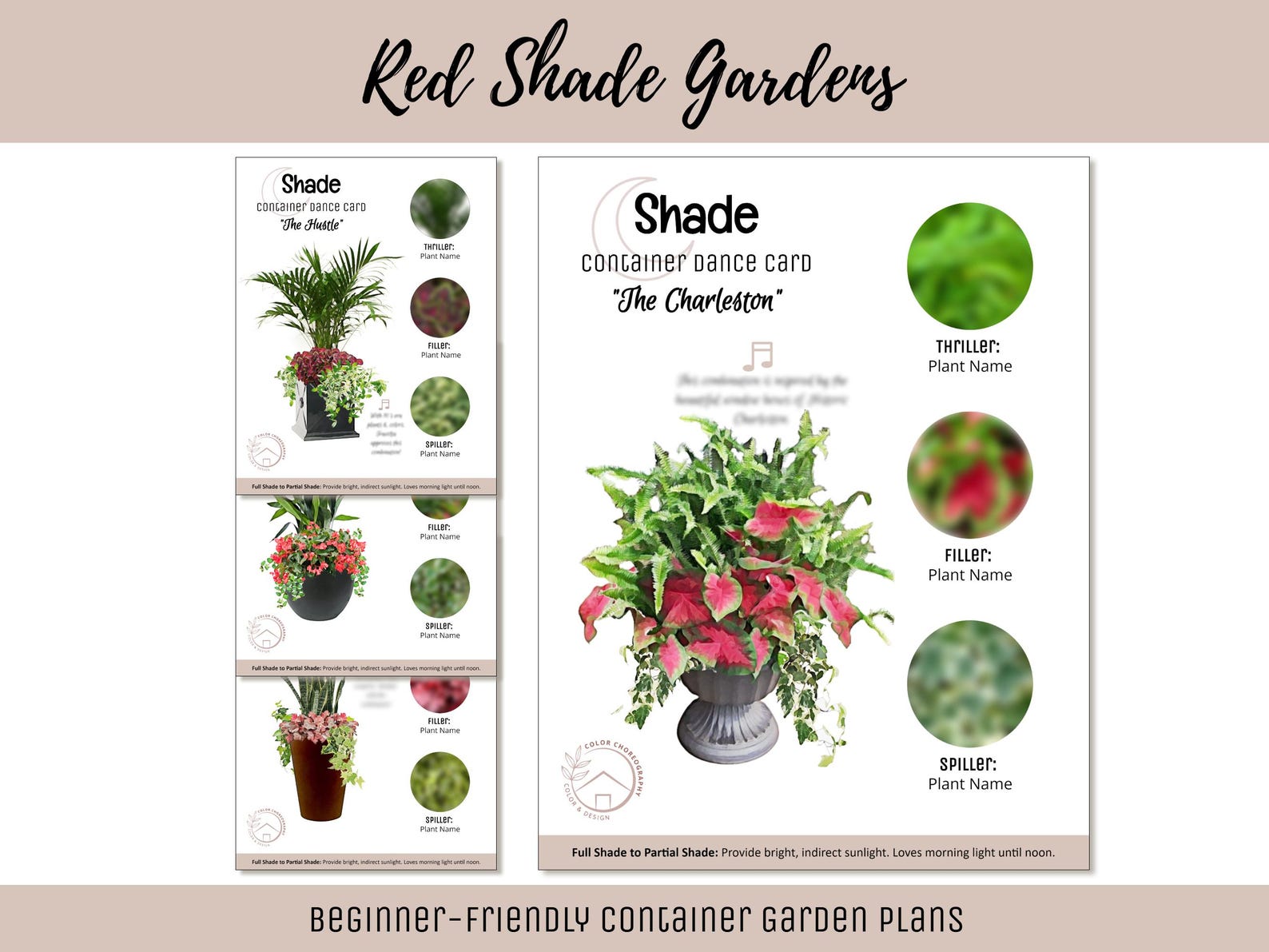 Easy Container Flower Garden Guide Beginner-friendly Potted Flower Plan ...