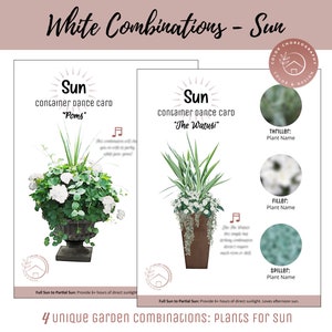 Easy Container Flower Garden Guide Beginner-friendly Potted Flower Plan ...