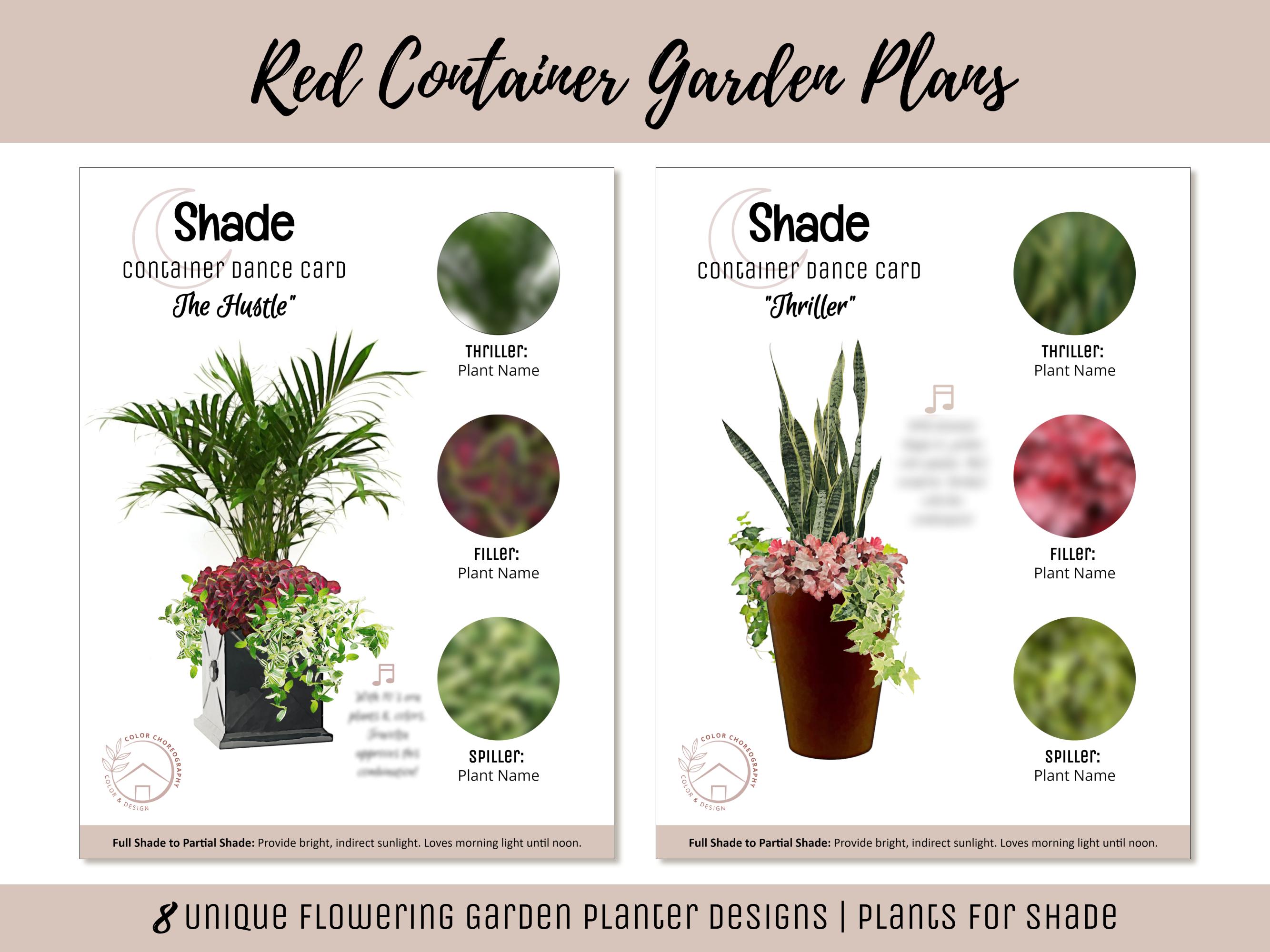 Easy Container Flower Garden Guide Beginner-friendly Potted Flower Plan ...