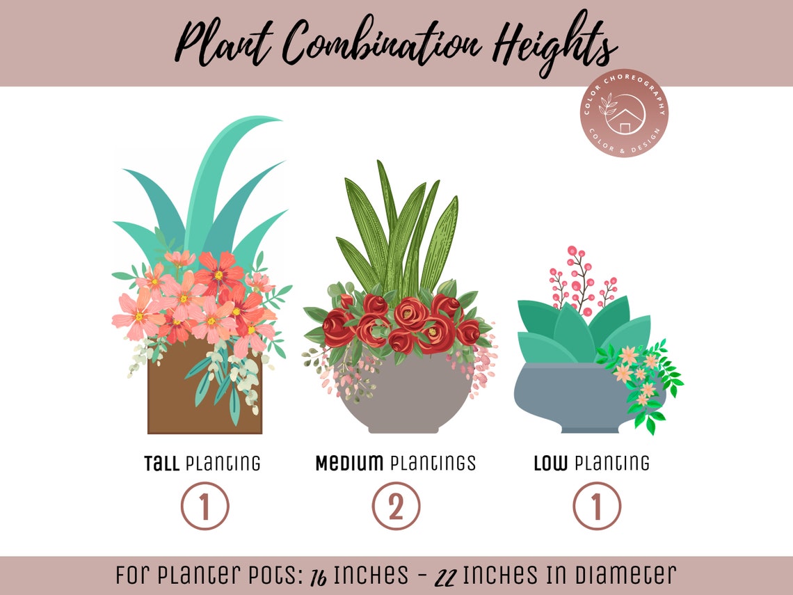 Easy Container Flower Garden Guide Beginner-friendly Potted Flower Plan ...