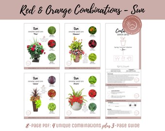 Easy Container Flower Garden Guide Beginner-friendly Potted Flower Plan ...