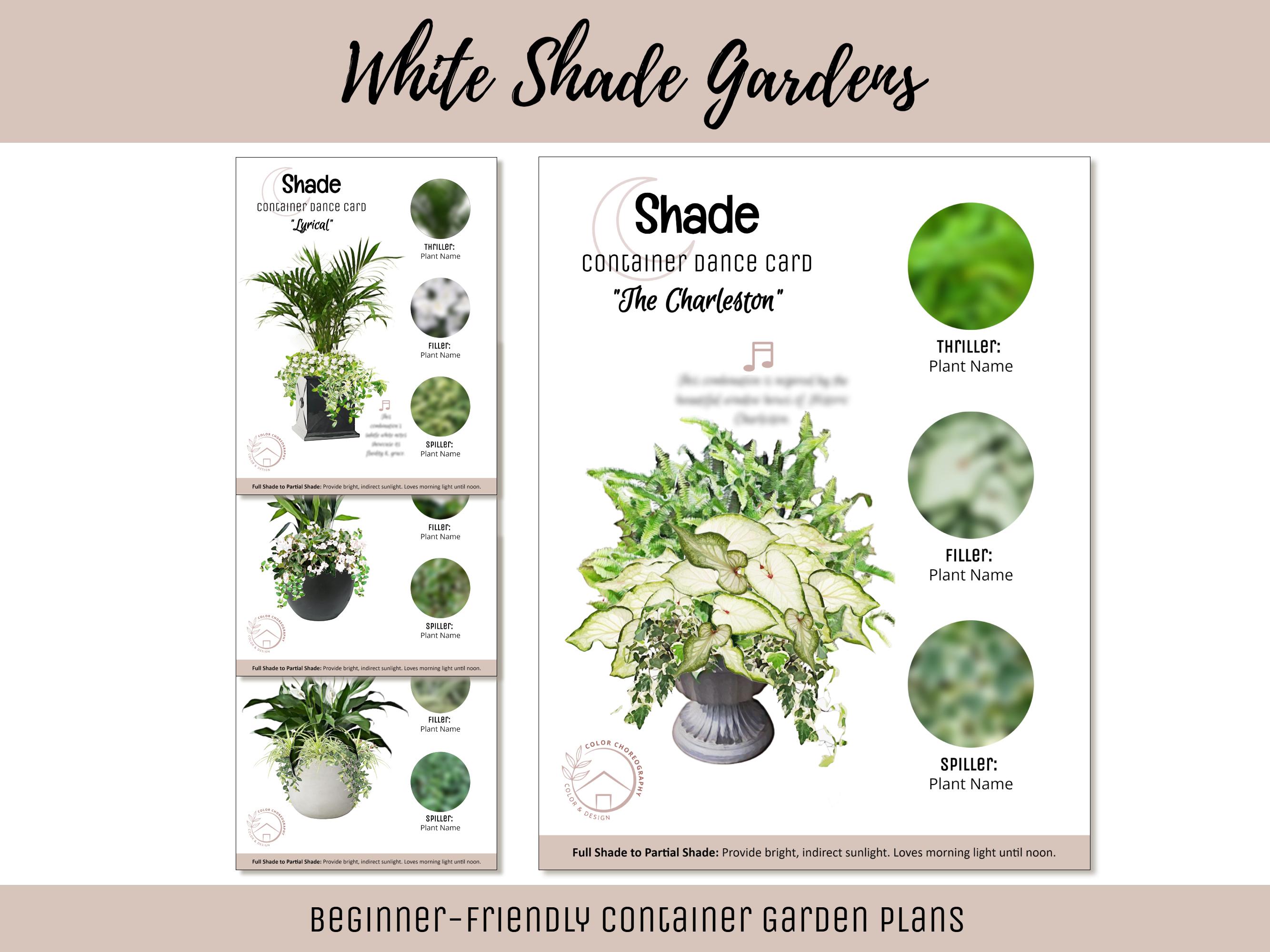 Easy Container Flower Garden Guide Beginner-friendly Potted Flower Plan ...