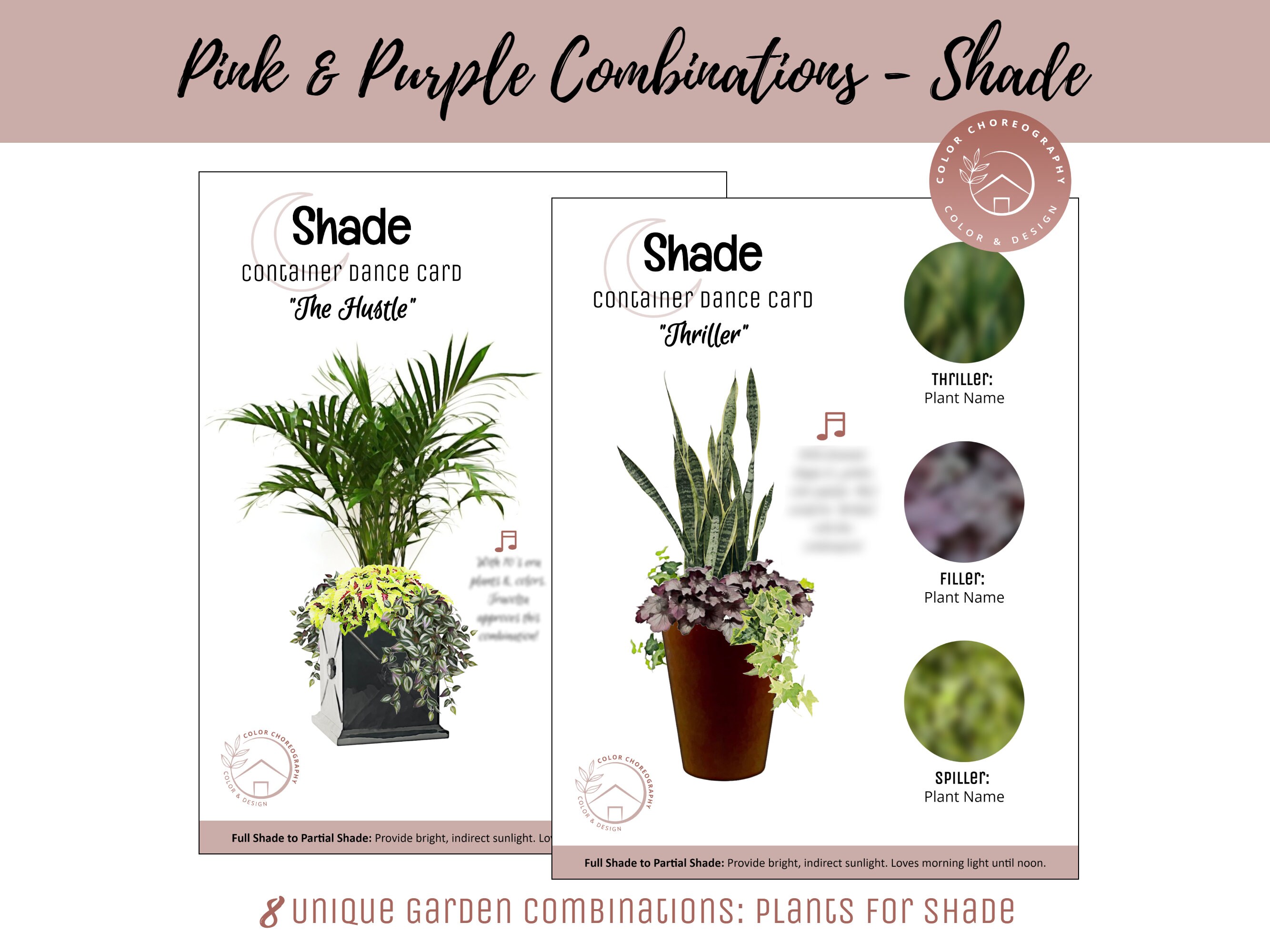 Easy Container Flower Garden Guide Beginner-friendly Potted Flower Plan ...