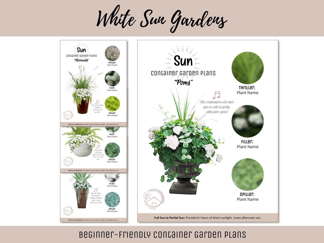 Easy Container Flower Garden Guide Beginner-friendly Potted Flower Plan ...