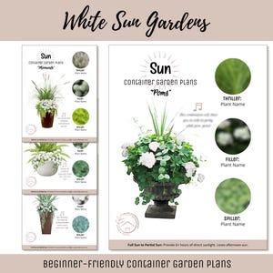 Easy Container Flower Garden Guide Beginner-friendly Potted Flower Plan ...