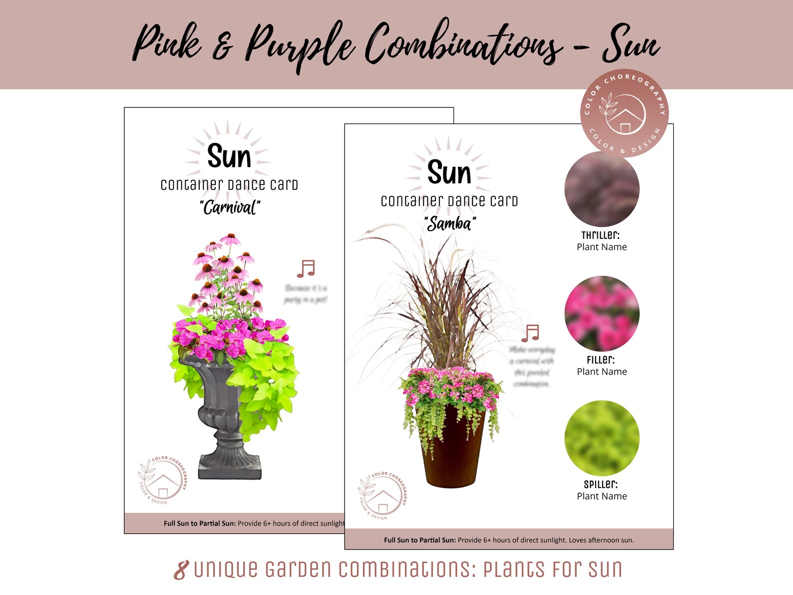 Easy Container Flower Garden Guide Beginner-friendly Potted Flower Plan ...