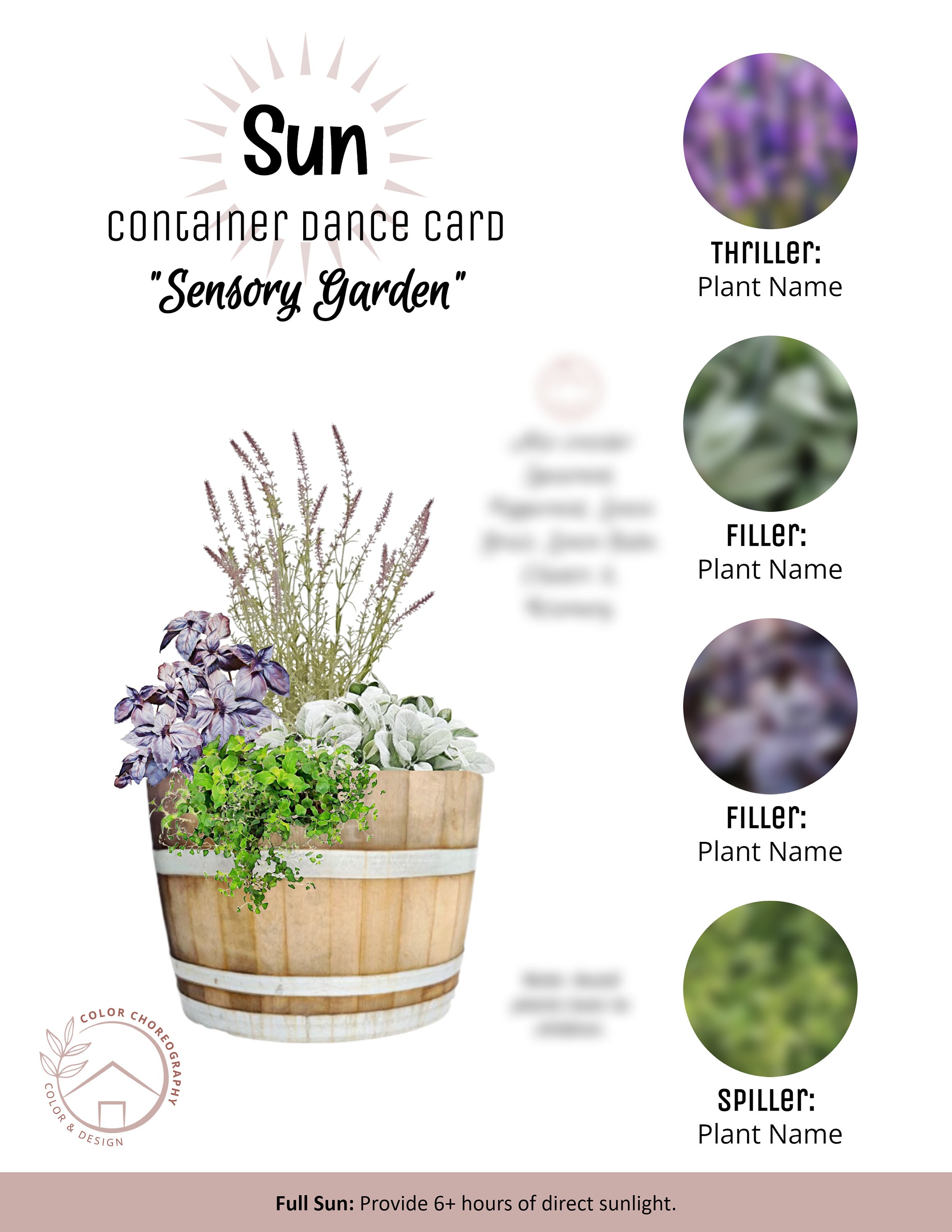 Easy Kids Container Garden Plan Vegetable Herb Garden Design Beginner ...