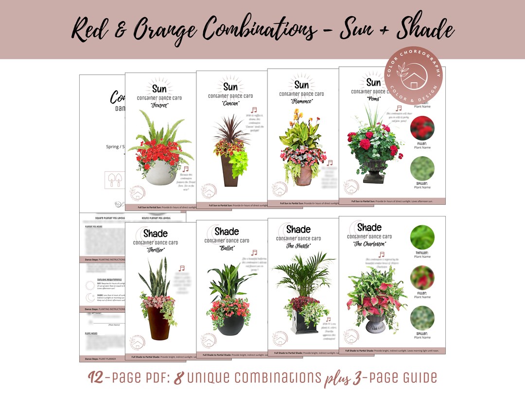 Container Garden Plan, Beginner Garden Guide, How-to Flower Garden ...