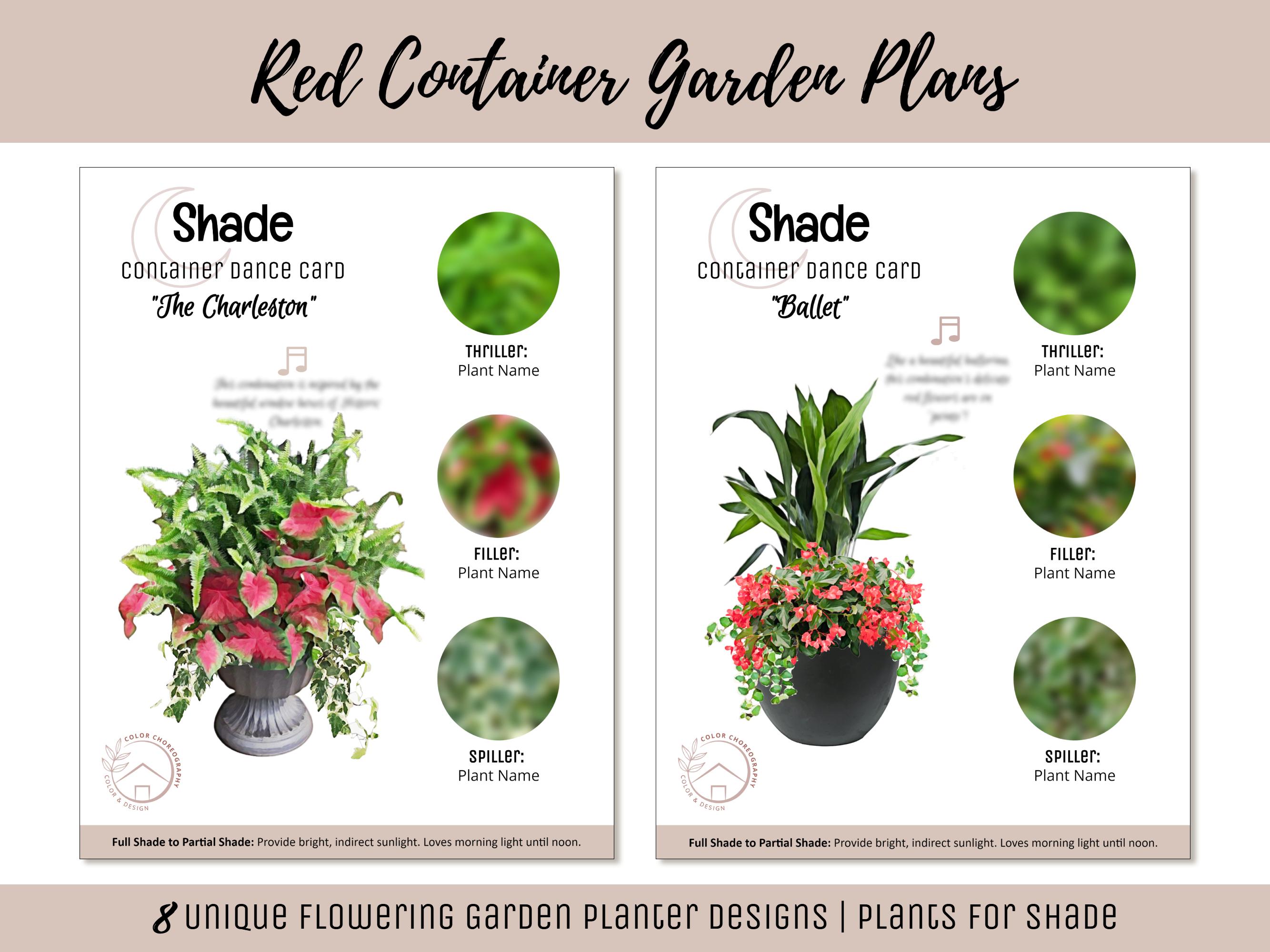 Easy Container Flower Garden Guide Beginner-friendly Potted Flower Plan ...