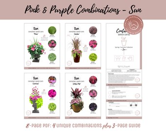 Easy Container Flower Garden Guide Beginner-friendly Potted Flower Plan ...