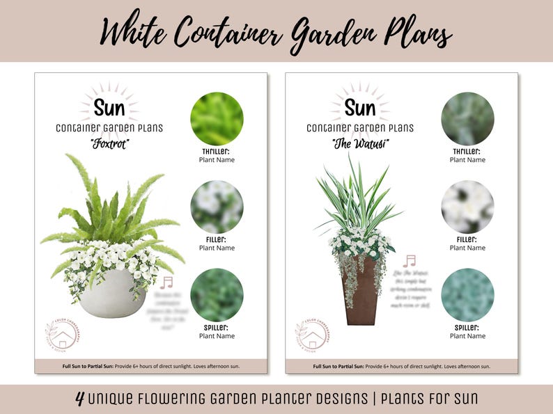 Easy Container Flower Garden Guide Beginner-friendly Potted Flower Plan ...