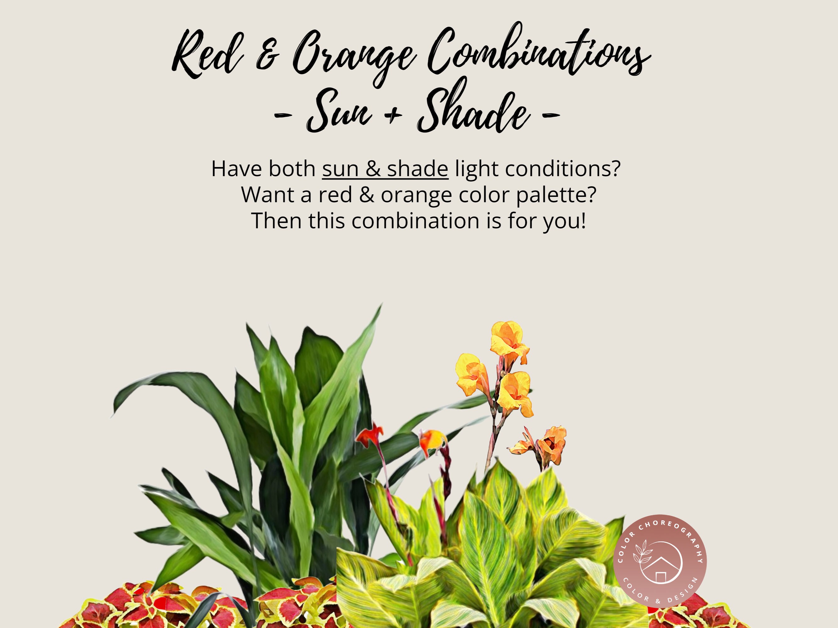 Container Garden Plan, Beginner Garden Guide, How-to Flower Garden ...